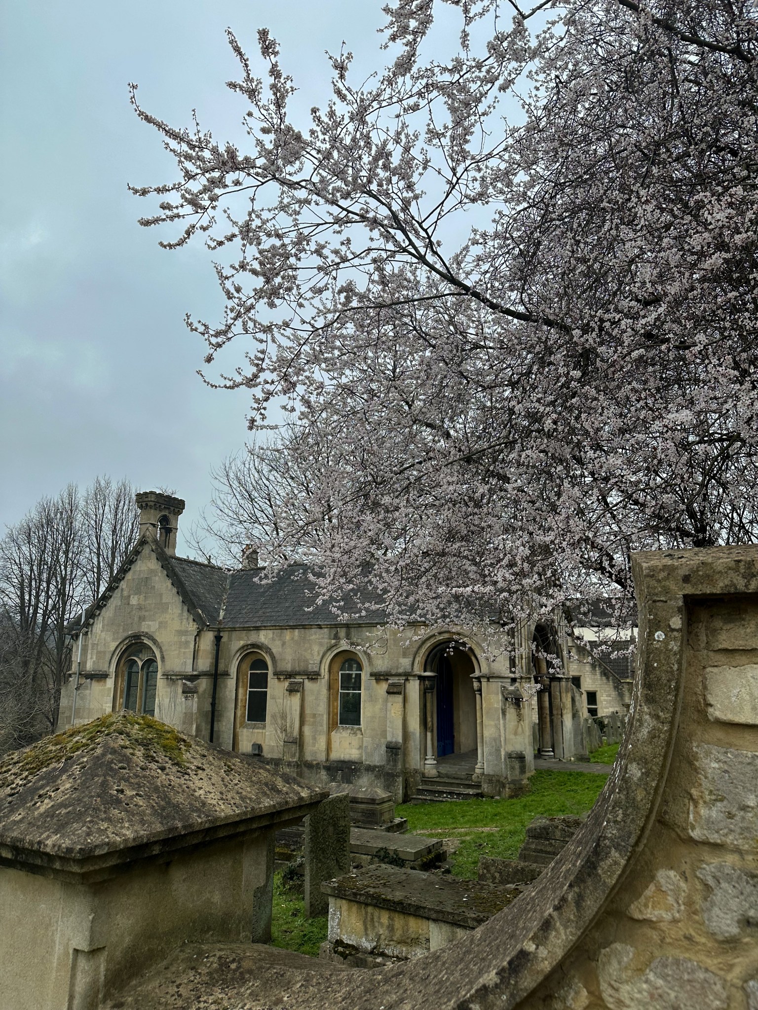 The Ultimate Guide to Regency Bath – Making My Good Life